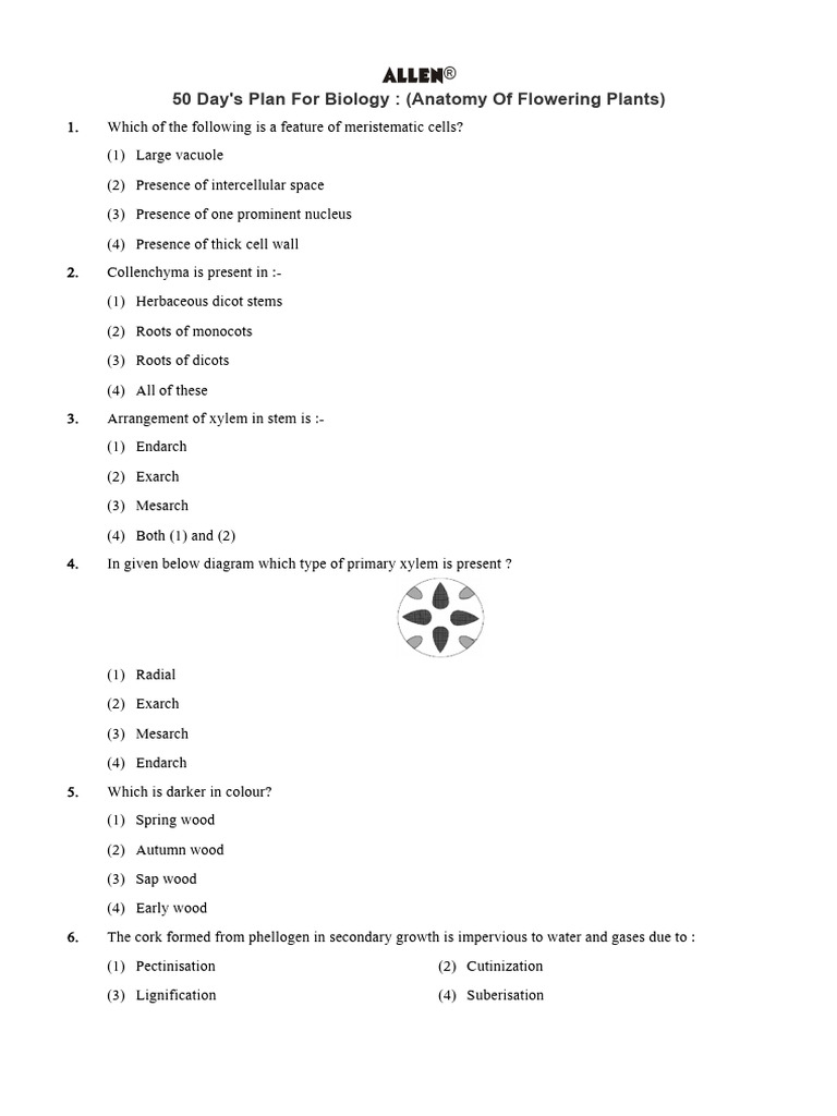 Anatomy of Flowering Plants-Paper | PDF | Plant Stem | Tissue (Biology)