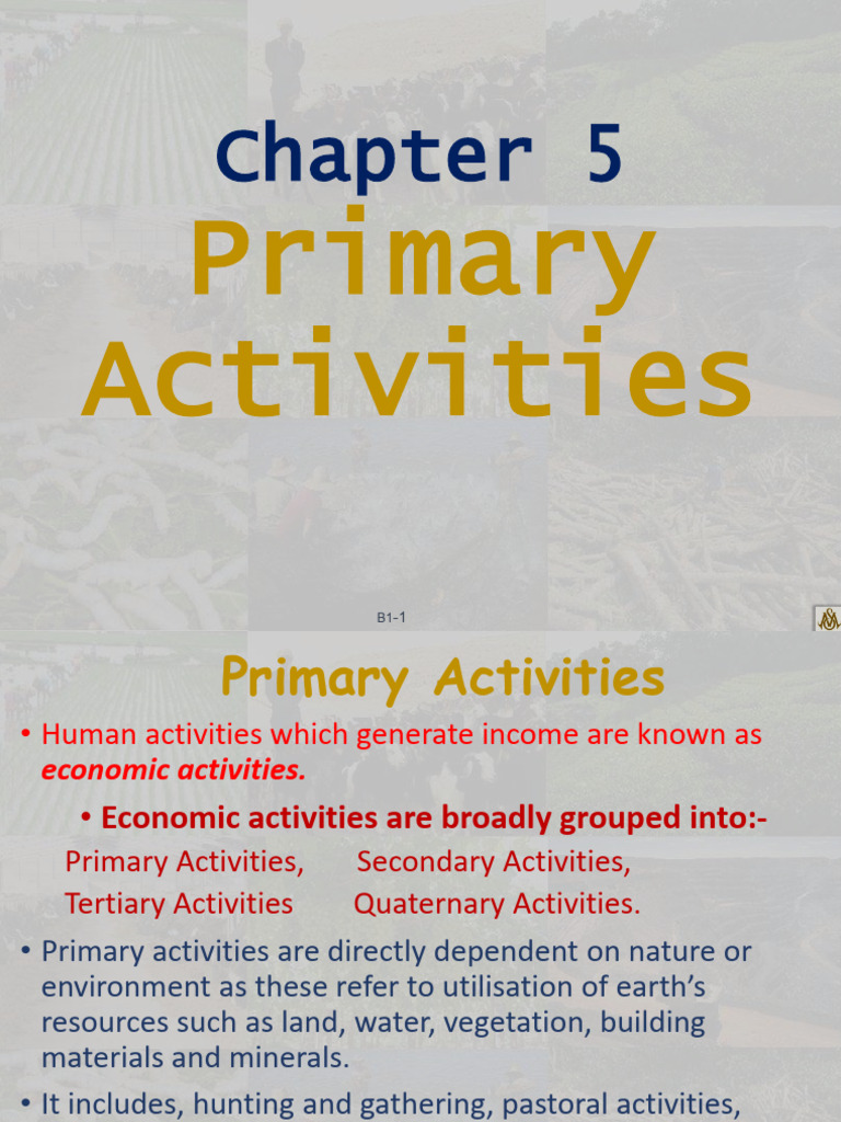 Overview of Primary Economic Activities | PDF | Agriculture | Mining