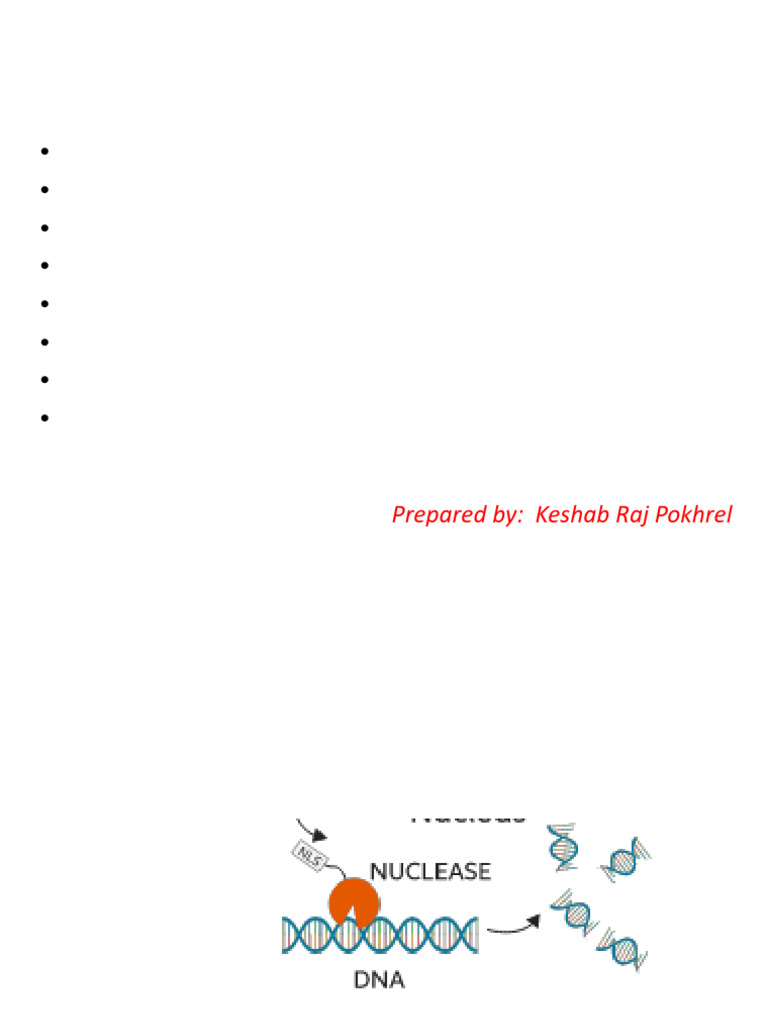 2.1. - 2.5.DNA Manipulation-Restriction Enzymes - DNA Isolation - PCR ...