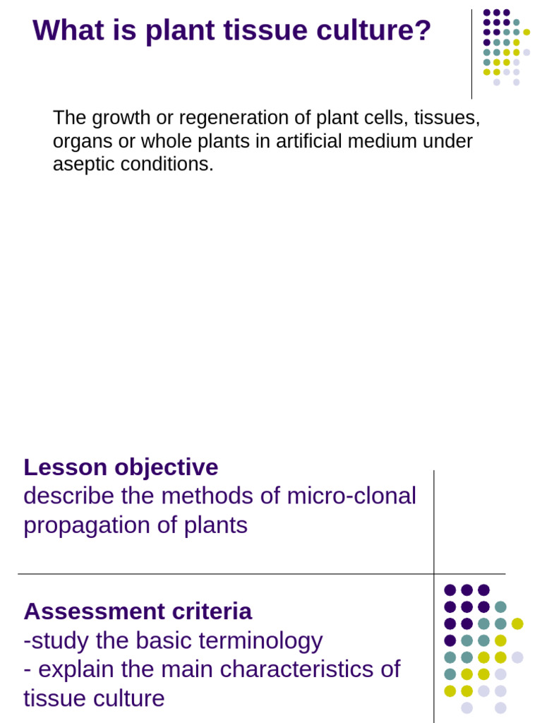 Micropropagation Techniques in Plants | PDF | Cell Biology | Biology