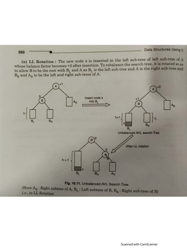 All Rotation | PDF