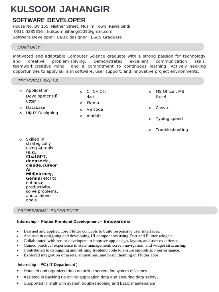 Professional Resume | PDF | Mobile App | User Interface