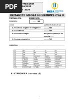 p6 Ikizamini Cy'Ikinyarwanda | PDF