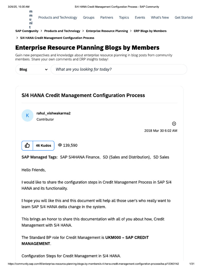 Credit Management Configuration | PDF