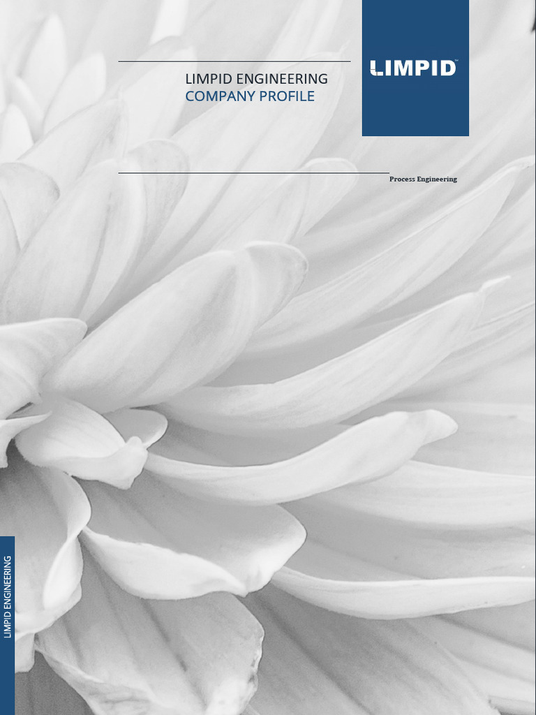 Limpid Engineering Company Overview | PDF | Automation | Steam