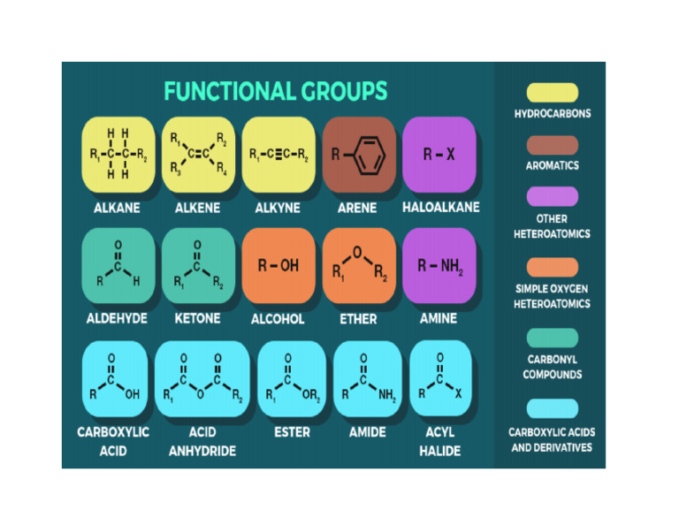 Functional Groups | PDF