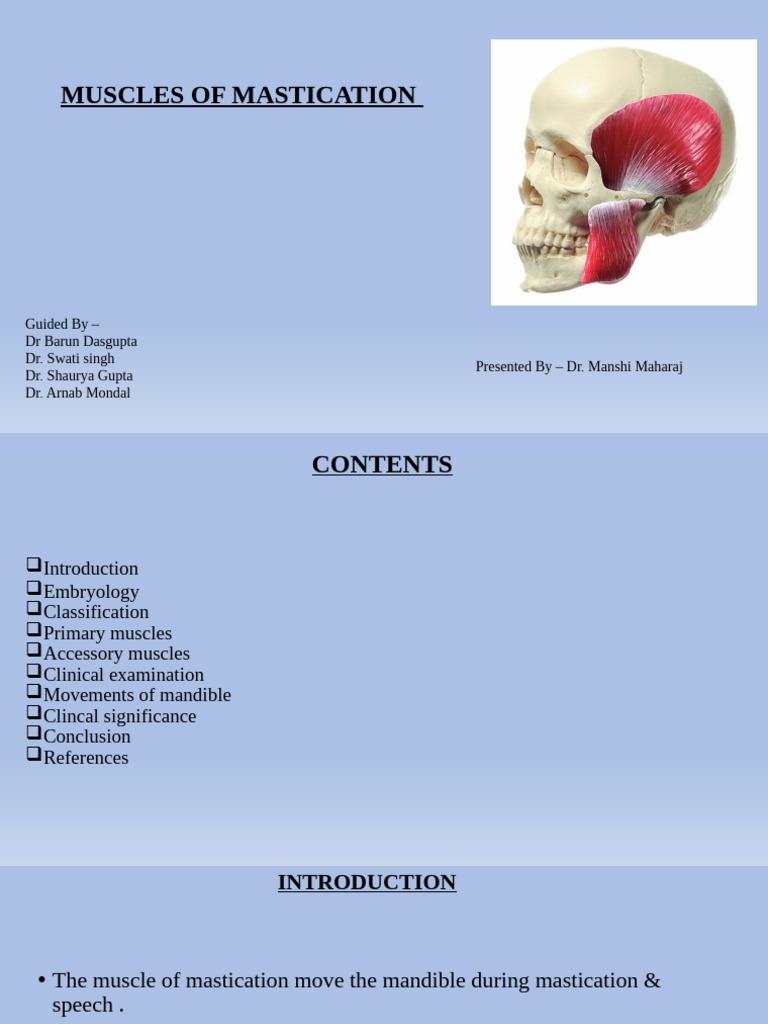 Muscle of Mastication | PDF | Human Anatomy | Human Head And Neck
