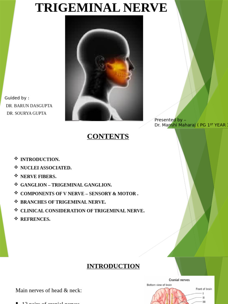 Trigeminal Nerve Overview and Functions | PDF | Human Nose | Human Head ...