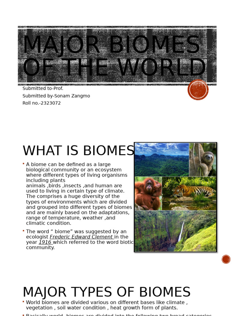 Major Biomes of the World Overview | PDF | Grassland | Forests