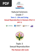 2025 Grade 8 Natural Sciences Plans | PDF | Solar System | Sun