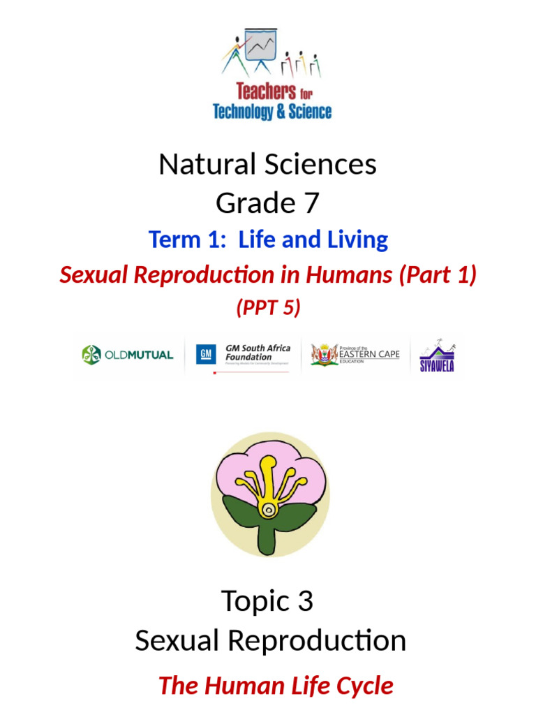 Sexual Reproduction and Puberty in Humans | PDF | Puberty | Adolescence