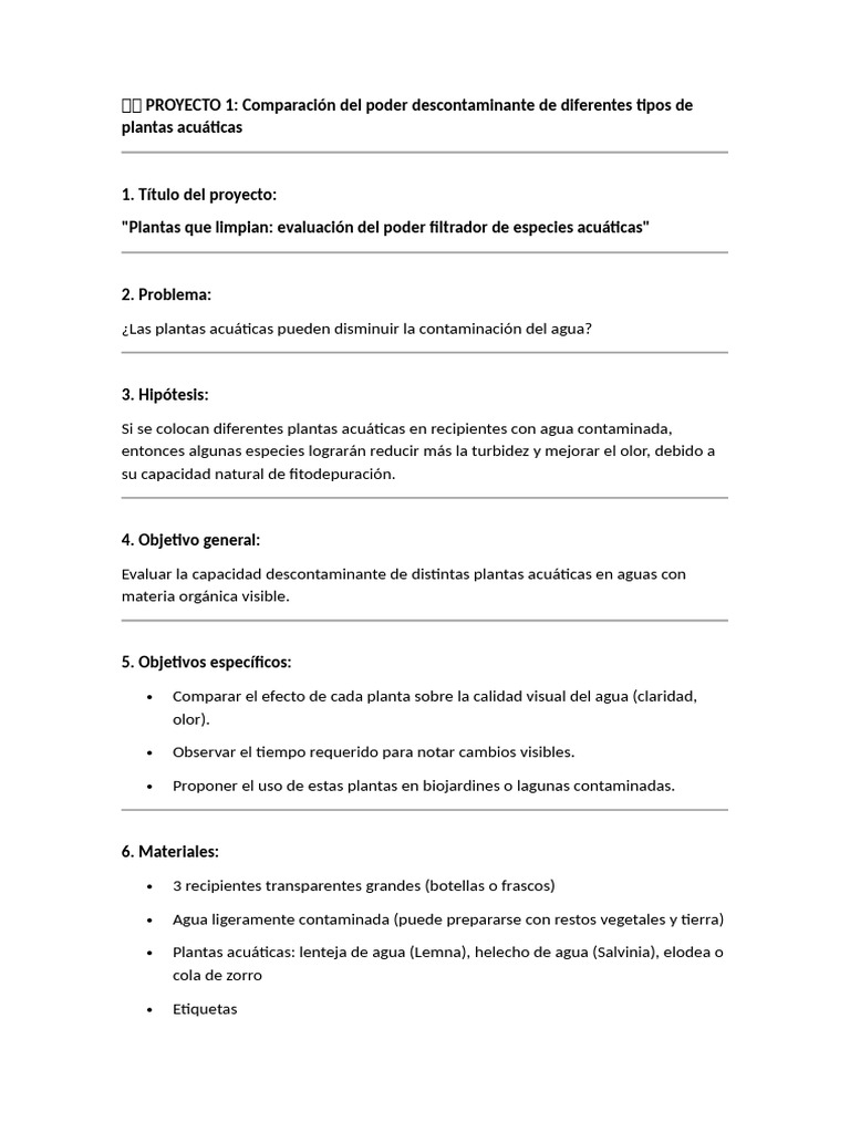 Proyecto 1 Fencyt-3ro Secundaria | PDF