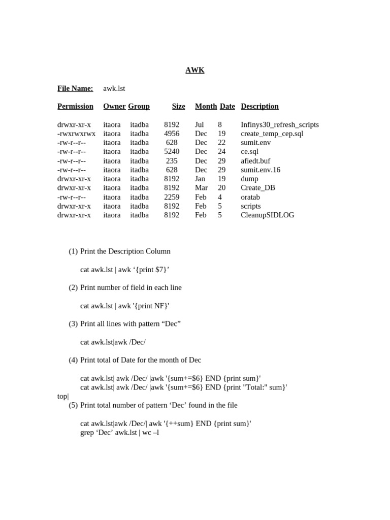 AWK File Name: Permission Owner Group Size Month Date Description | PDF