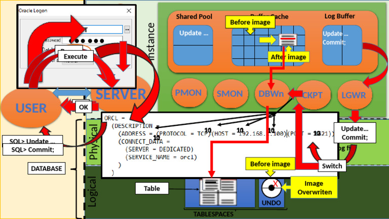 Oracle Database Structure | PDF