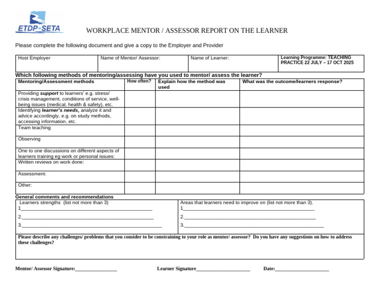 Mentor Assessment Report Template | PDF