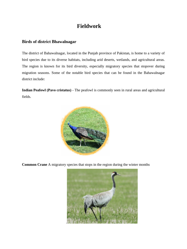 Identification of Species in Field Work | PDF | Bird Migration