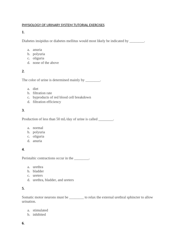 Urinary System Physiology Overview | PDF | Kidney | Urinary System