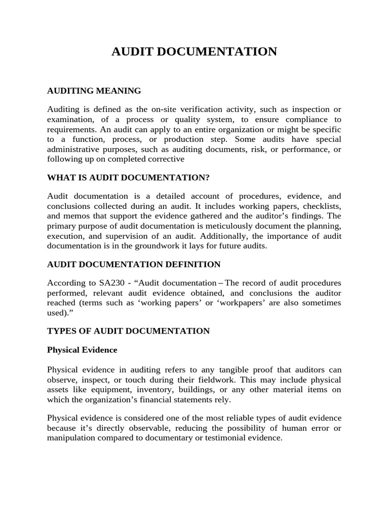 Audit Documentation (Rohini Devi-23uco041) | PDF | Audit | Business