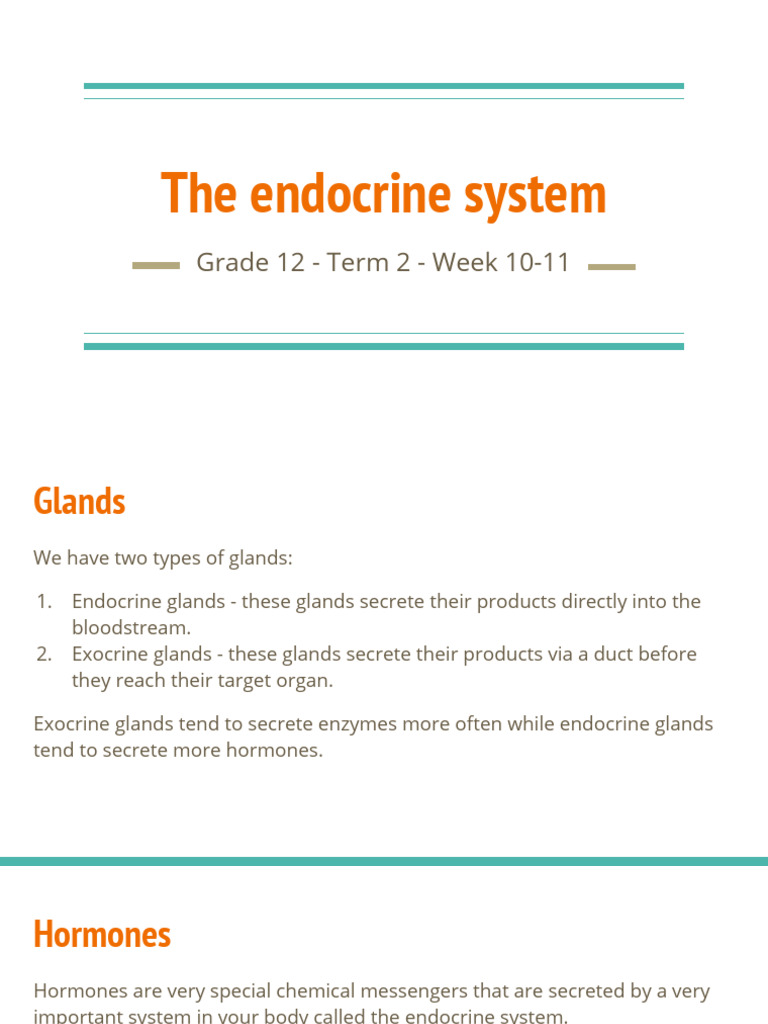 The Endocrine System Slides | PDF | Endocrine System | Hormone