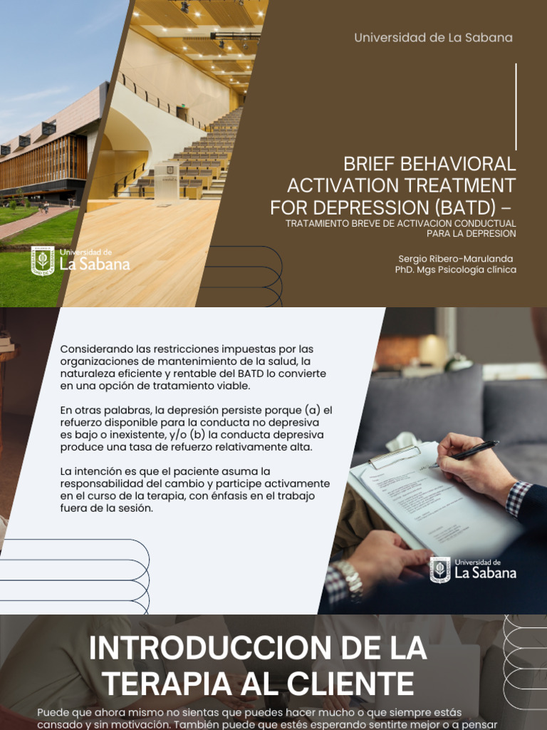 Tratamiento Breve de Activación Conductual | PDF | Depresión (estado de ...