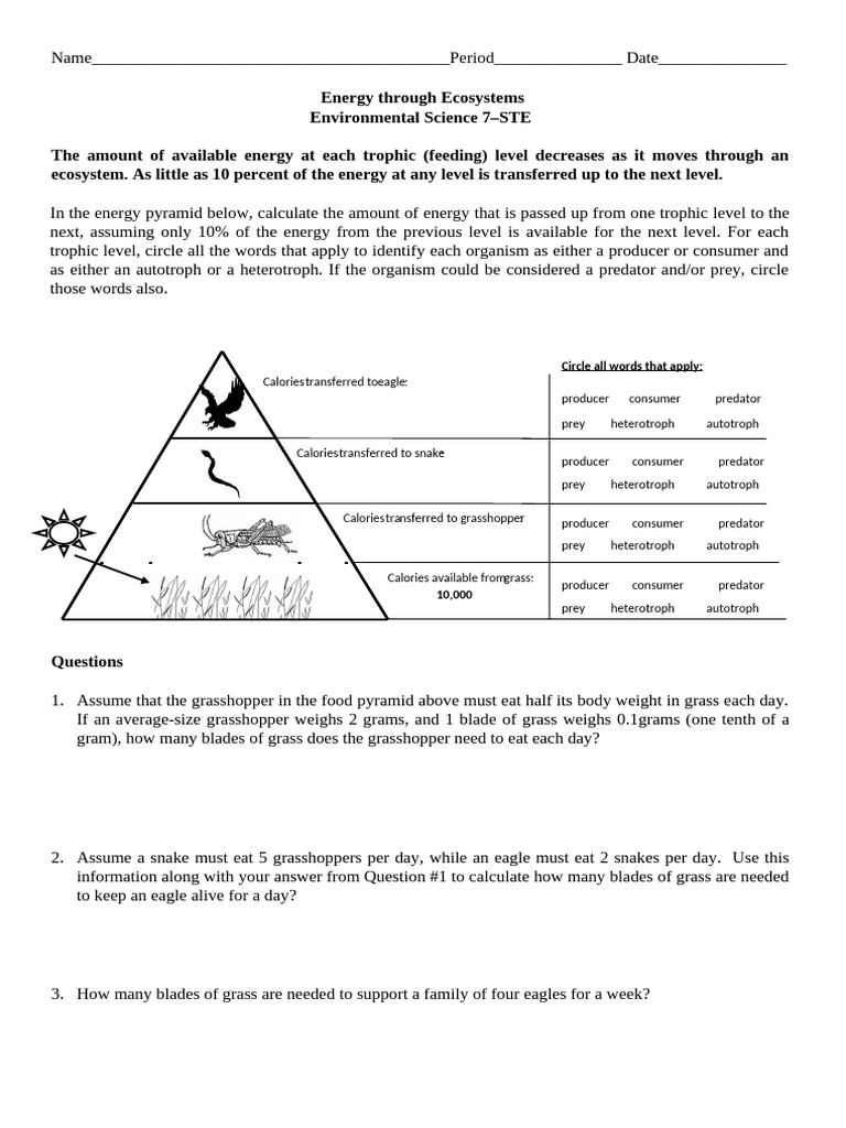 Energy Through Ecosystem - Energy Through Ecosystem | PDF | Food Web ...