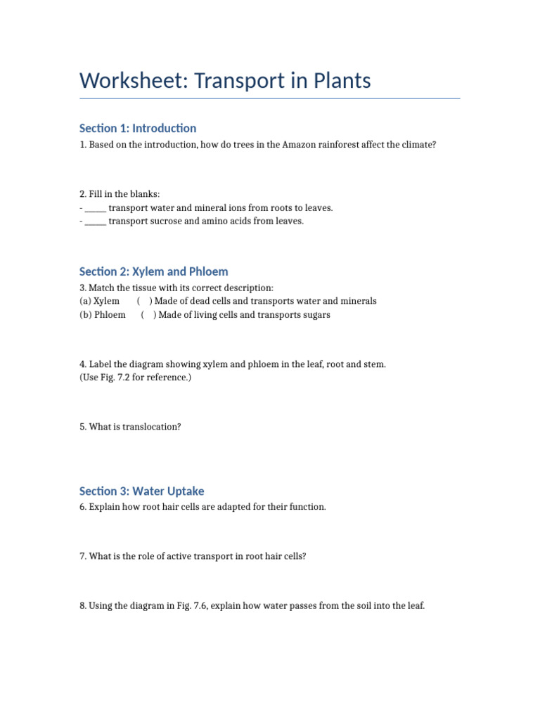 Transport in Plants Worksheet With Diagrams | PDF