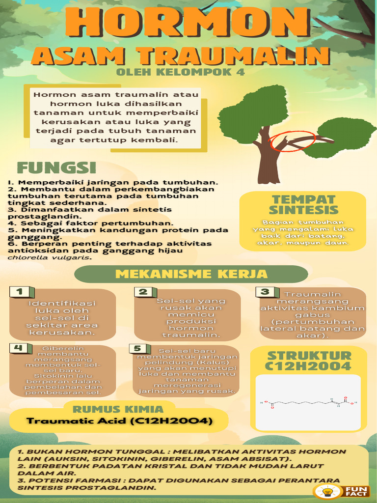 Hormon Asam Traumalin pada Tumbuhan | PDF