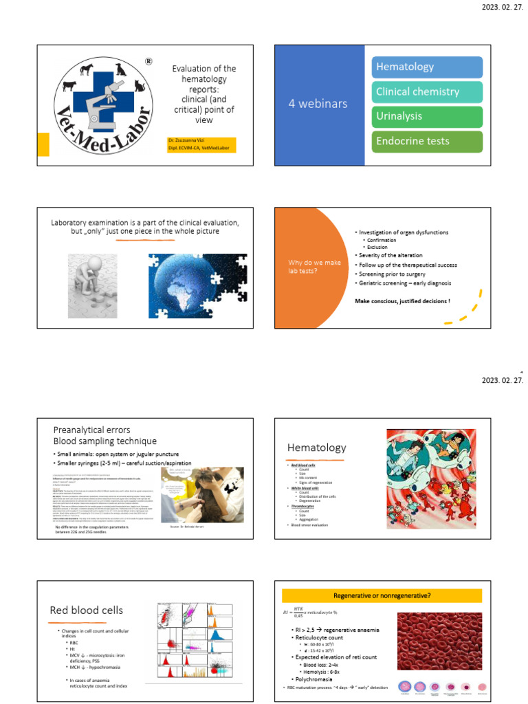 230228 Laboratory Results | PDF | Anemia | White Blood Cell