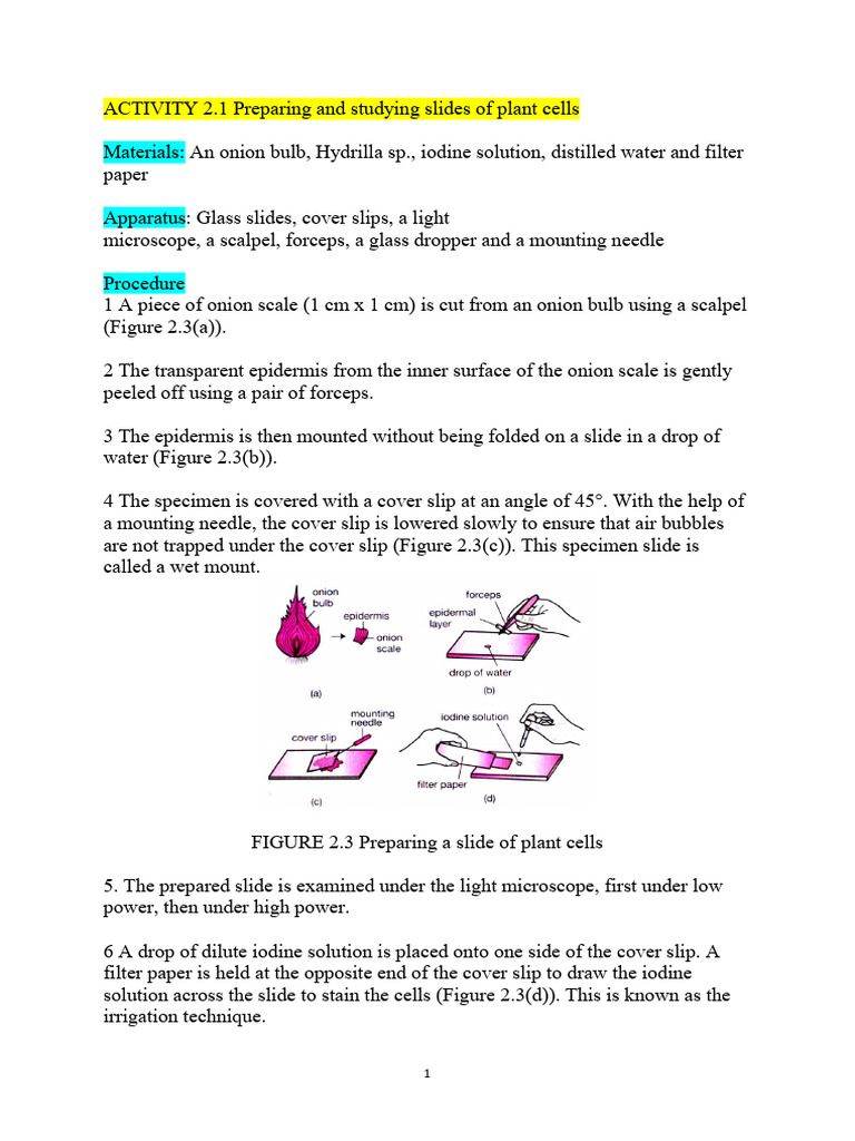Plant Cell Slide Preparation Guide | PDF