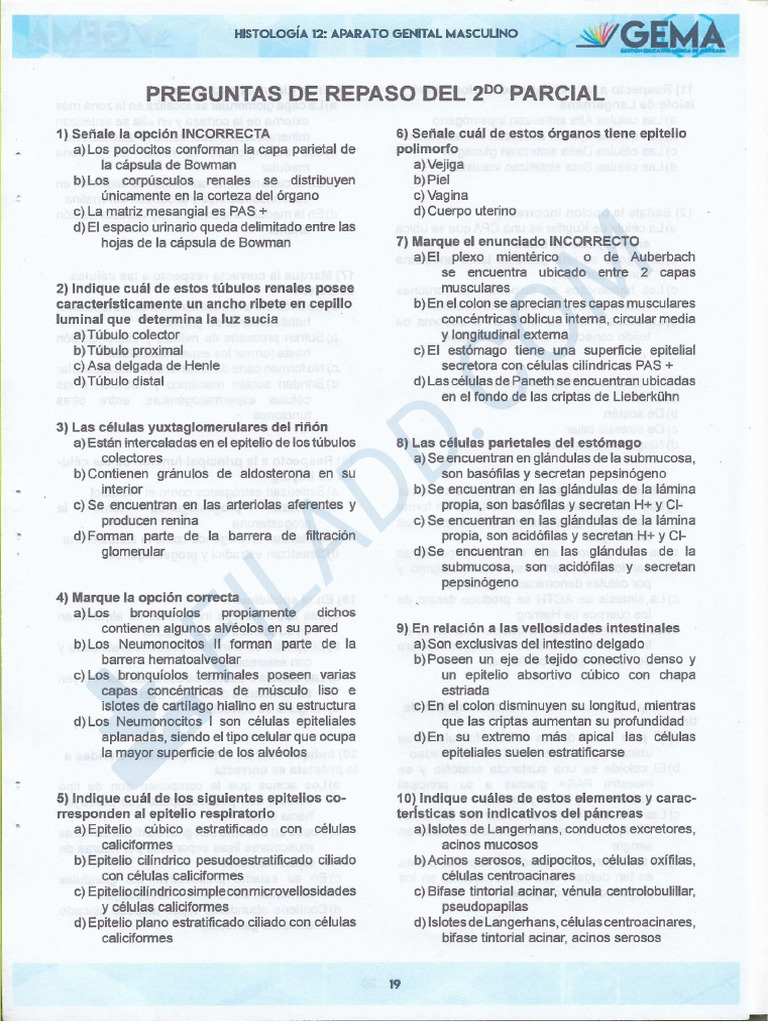 Choice Histologia 2do Parcial - Cópia | PDF