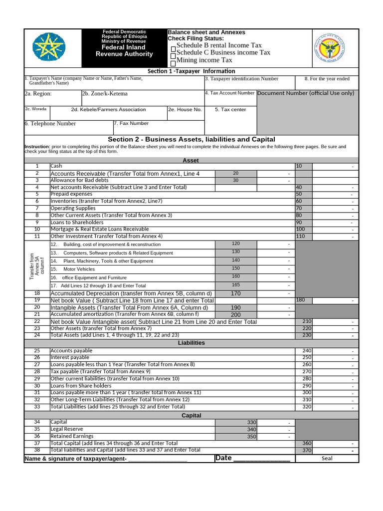 ERCA Declaration Form-Clean Form | PDF | Book Value | Financial Economics
