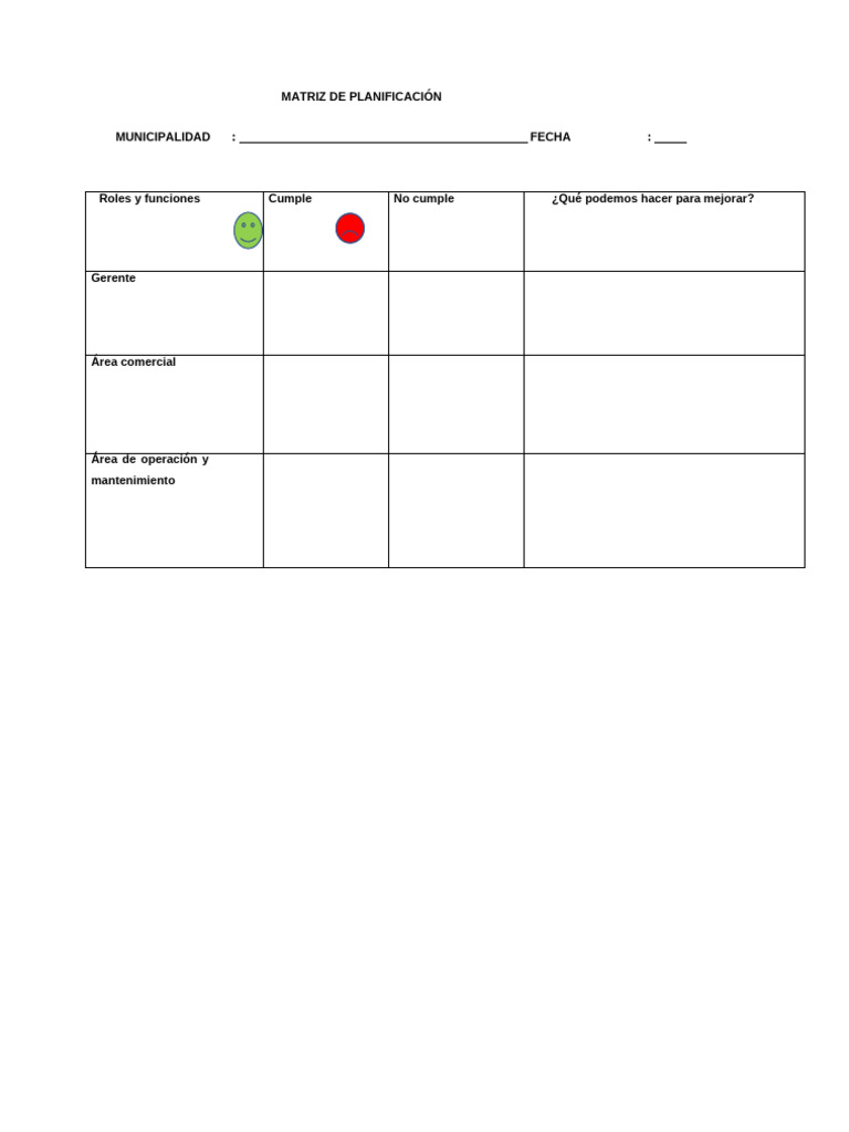 Matriz Roles y Funciones | PDF