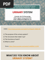 Urinary System Medical Terminology Guide | PDF | Kidney | Urinary System