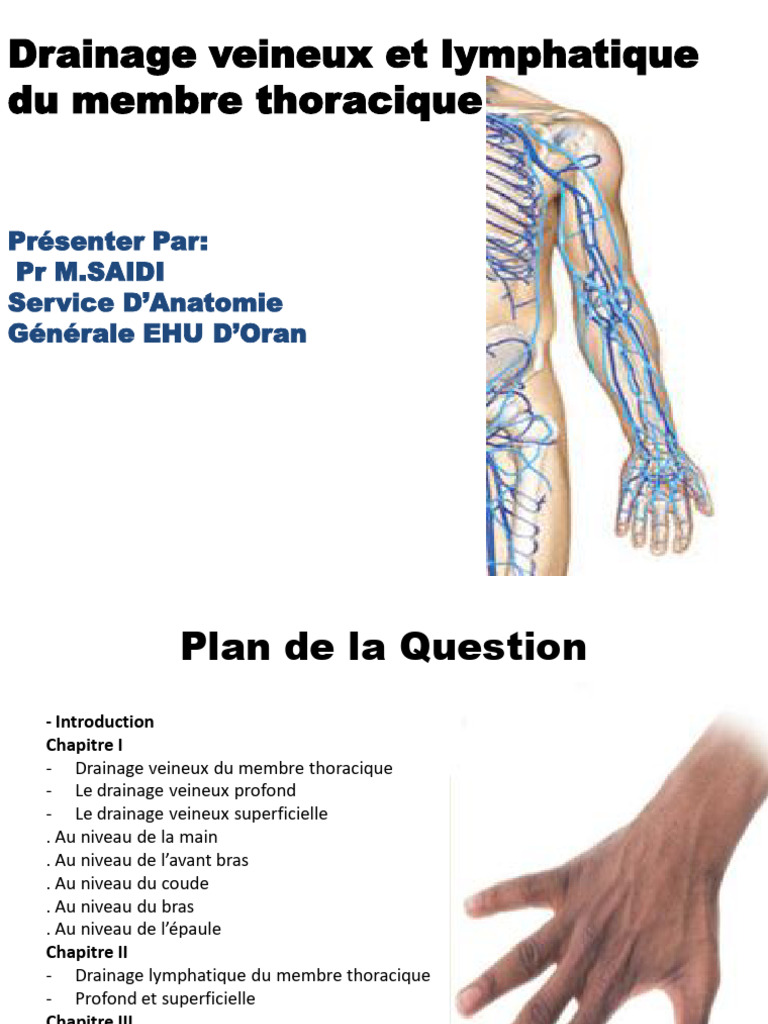 Drainage veineux et lymphatique du bras | PDF | Main | Système lymphatique