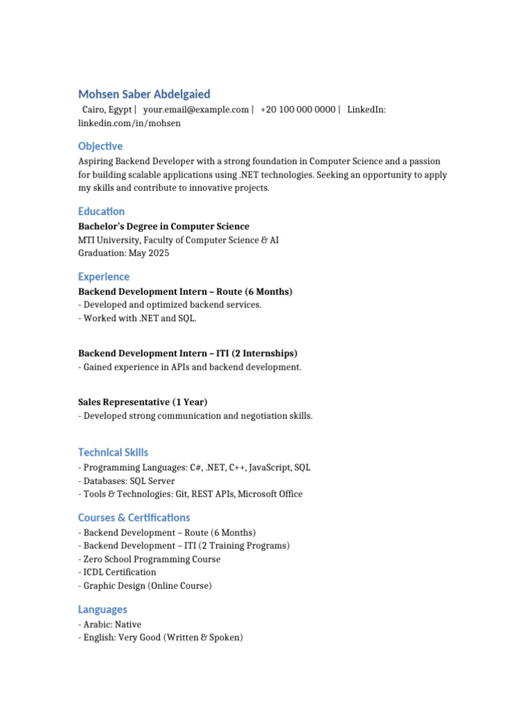 CV Template Mohsen | PDF