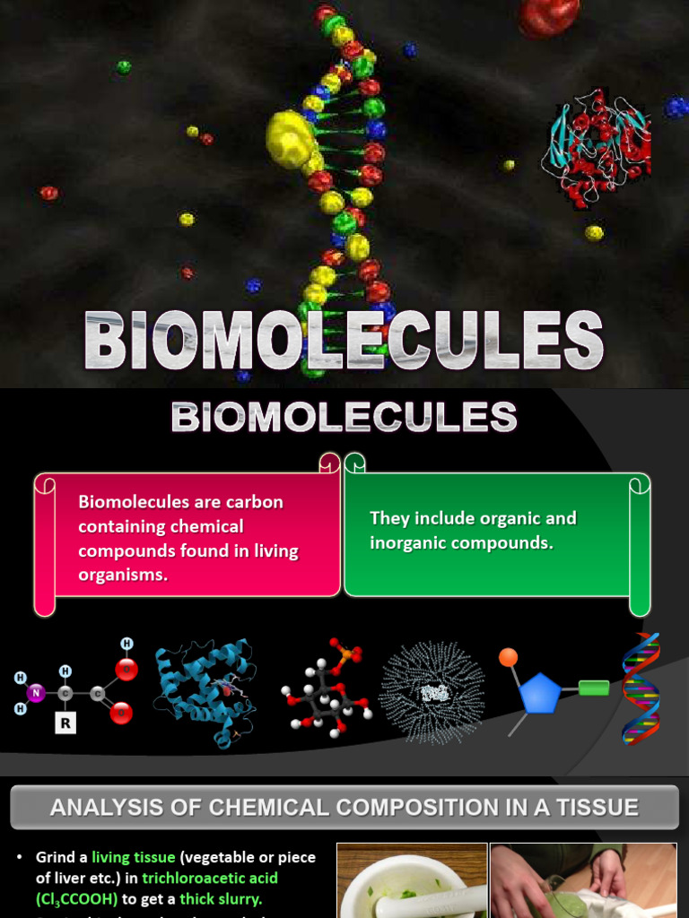9 Biomolecules 1642756892489 | PDF | Amino Acid | Carbohydrates