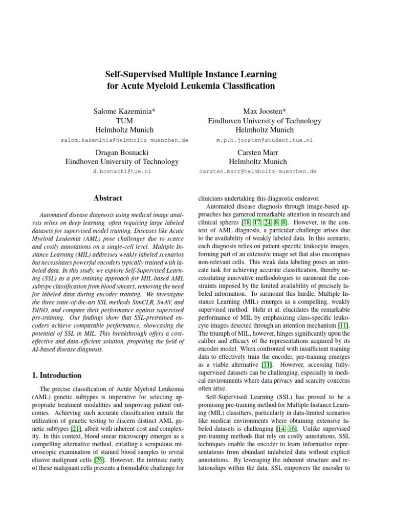 Self-Supervised Multiple Instance Learning For Acute Myeloid Leukemia Classification | PDF ...