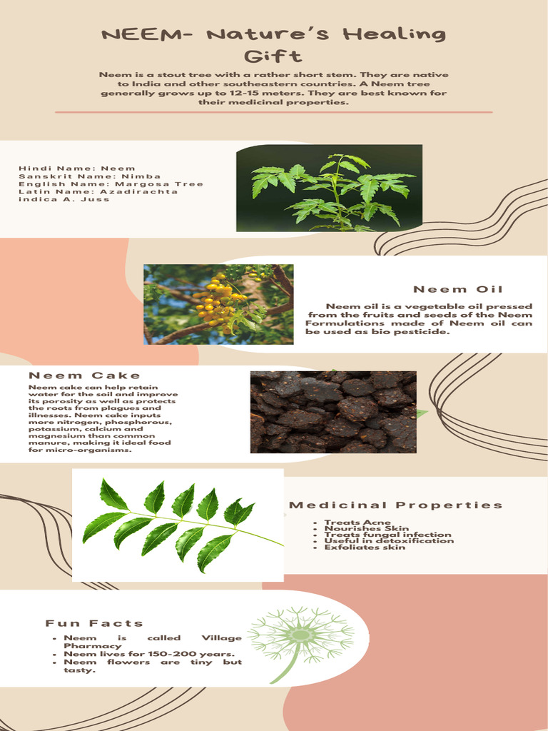 Cream Pastel Cute Natural Glowing Skin Herbs Infographic | PDF