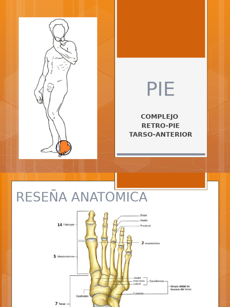 Eje de Henke y Articulaciones del Pie | PDF | Tobillo | Pie