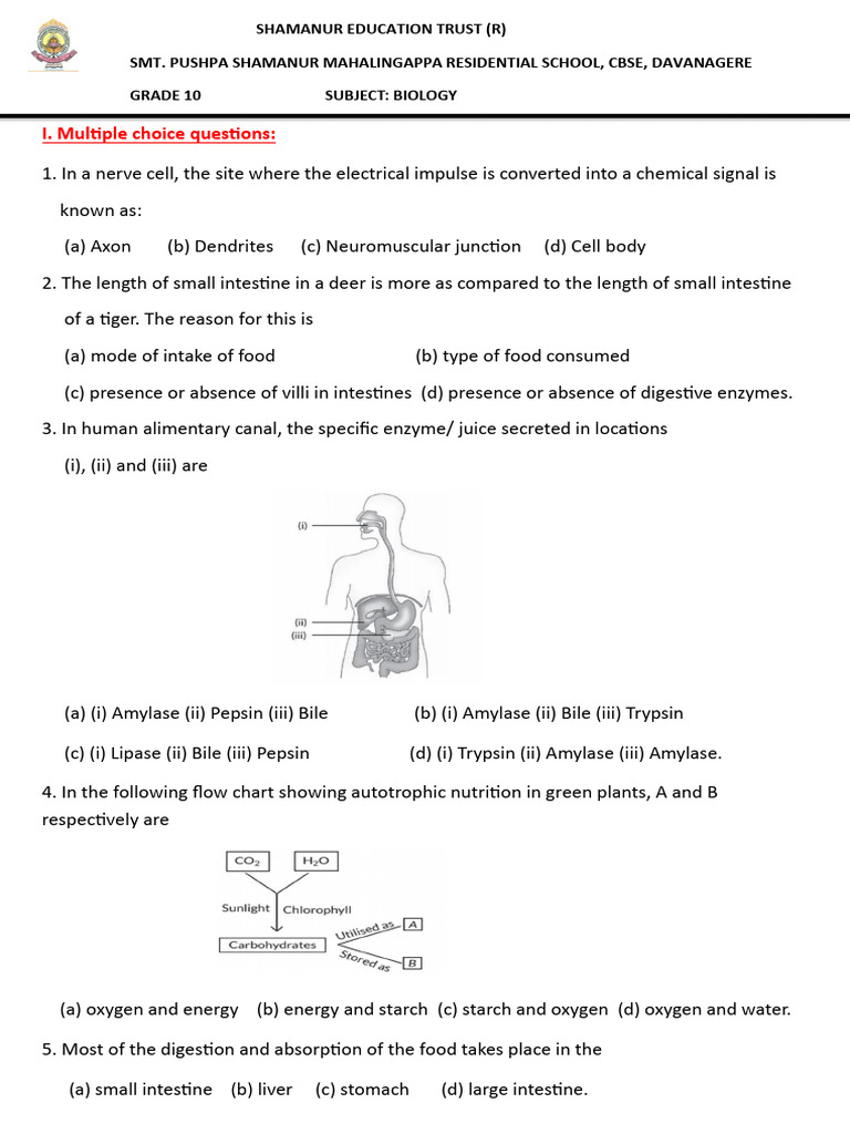 Grade 10 Biology Holiday Homework | PDF | Thyroid | Hypothyroidism