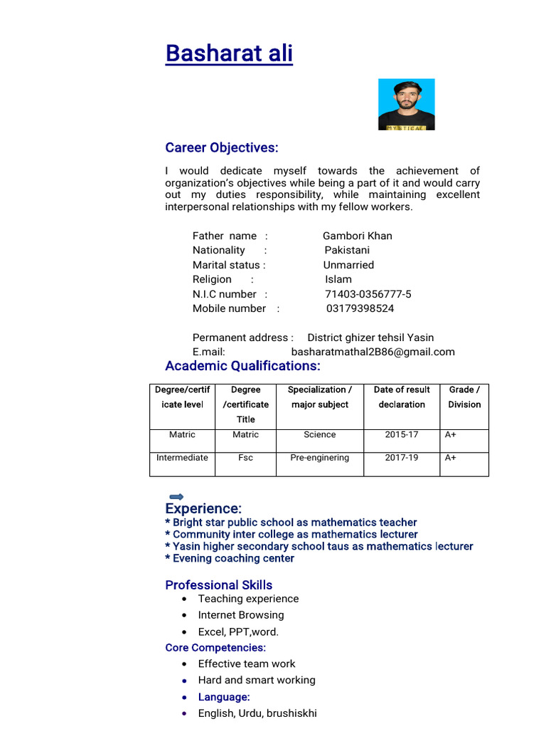 Mathematics Teacher Resume Summary | PDF