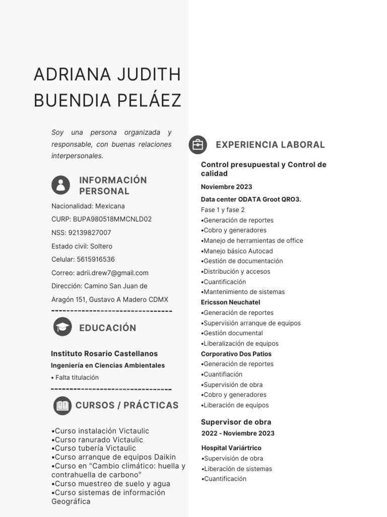 CV Adriana Judith | PDF