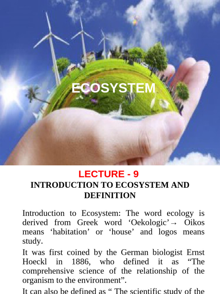 Chapter 3 - Ecosystem - Biodiversity | PDF | Ecosystem | Food Web