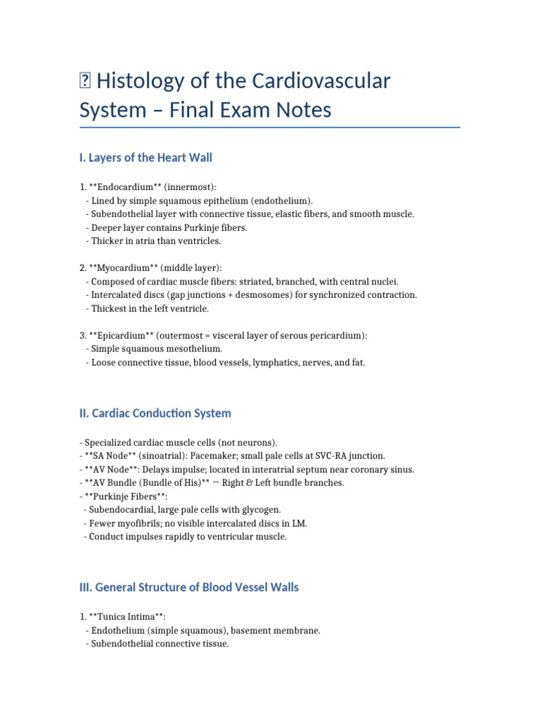Final Histology of CVS Exam Notes | PDF | Vein | Artery