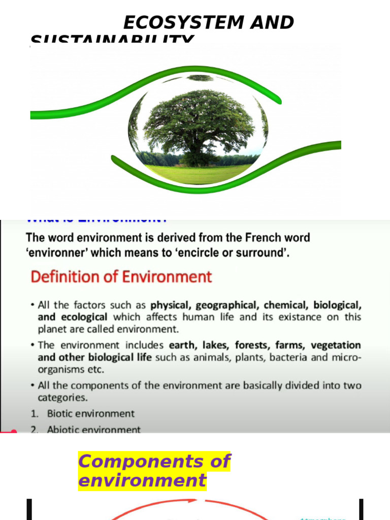 Presentation1 (Autosaved) | PDF