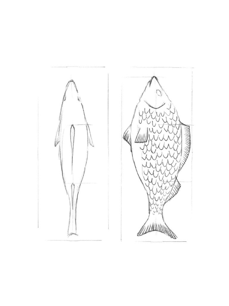 Fish 3 | PDF