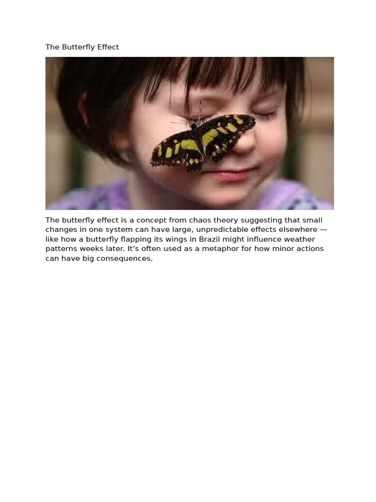 Understanding the Butterfly Effect | PDF
