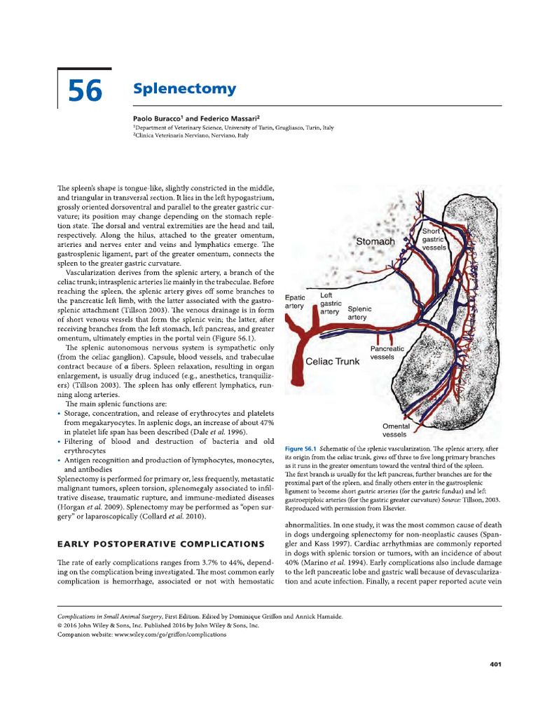 Splenectomy | PDF