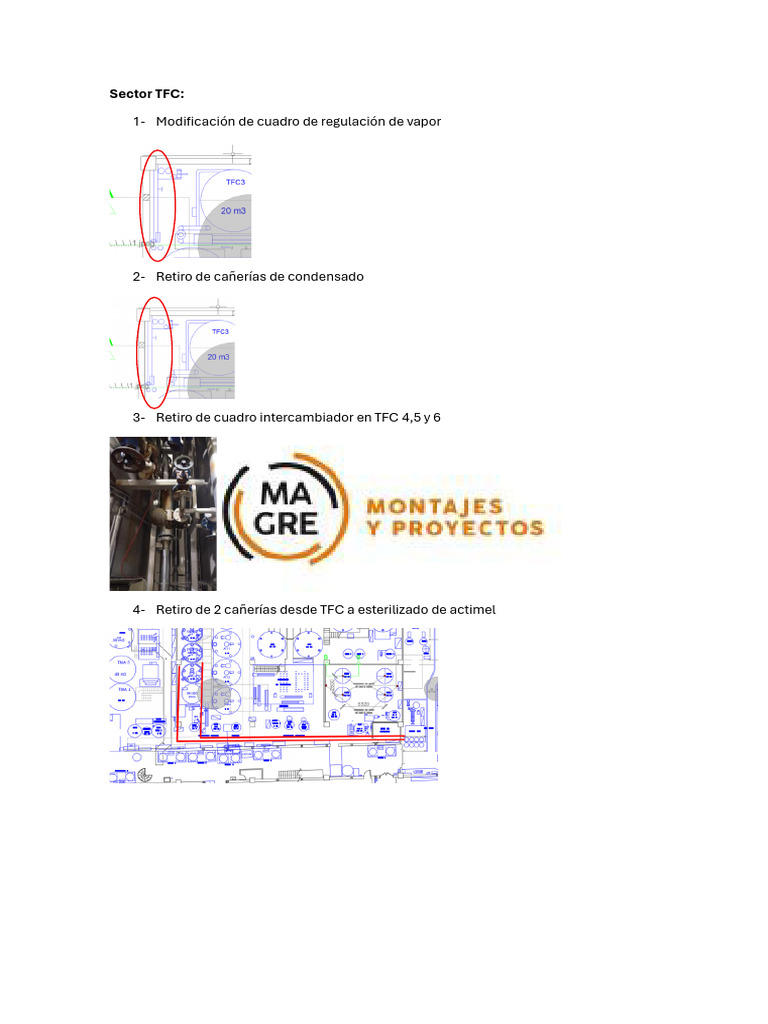 Tareas A Realizar en Danone | PDF