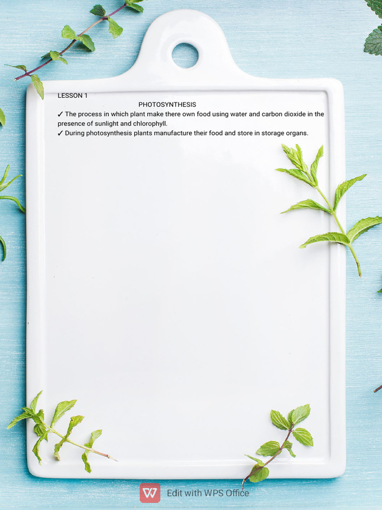Photosynthesis Lesson 1 | PDF